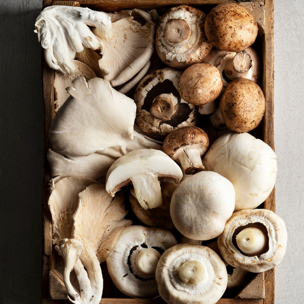 Mushroom Studies, Research and References | Eversio Wellness