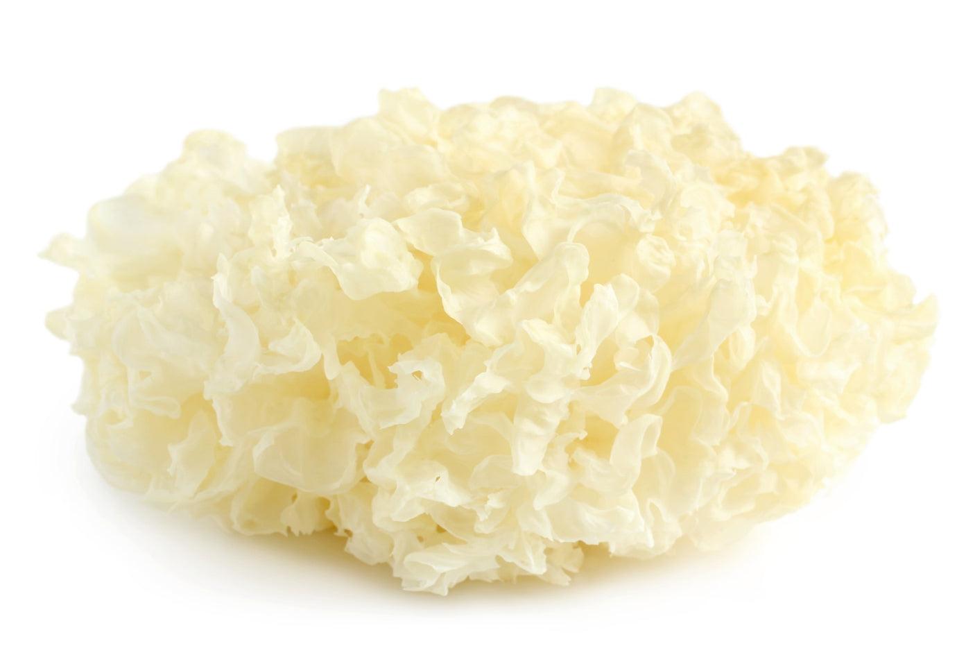 What Are Tremella Mushrooms? – Eversio Wellness
